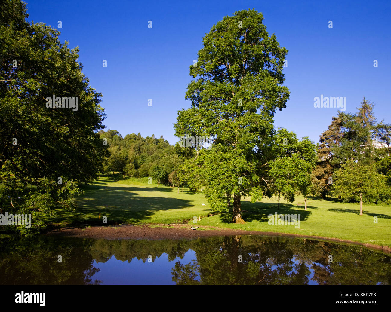 Cameron house loch lomond golf hi-res stock photography and images - Alamy