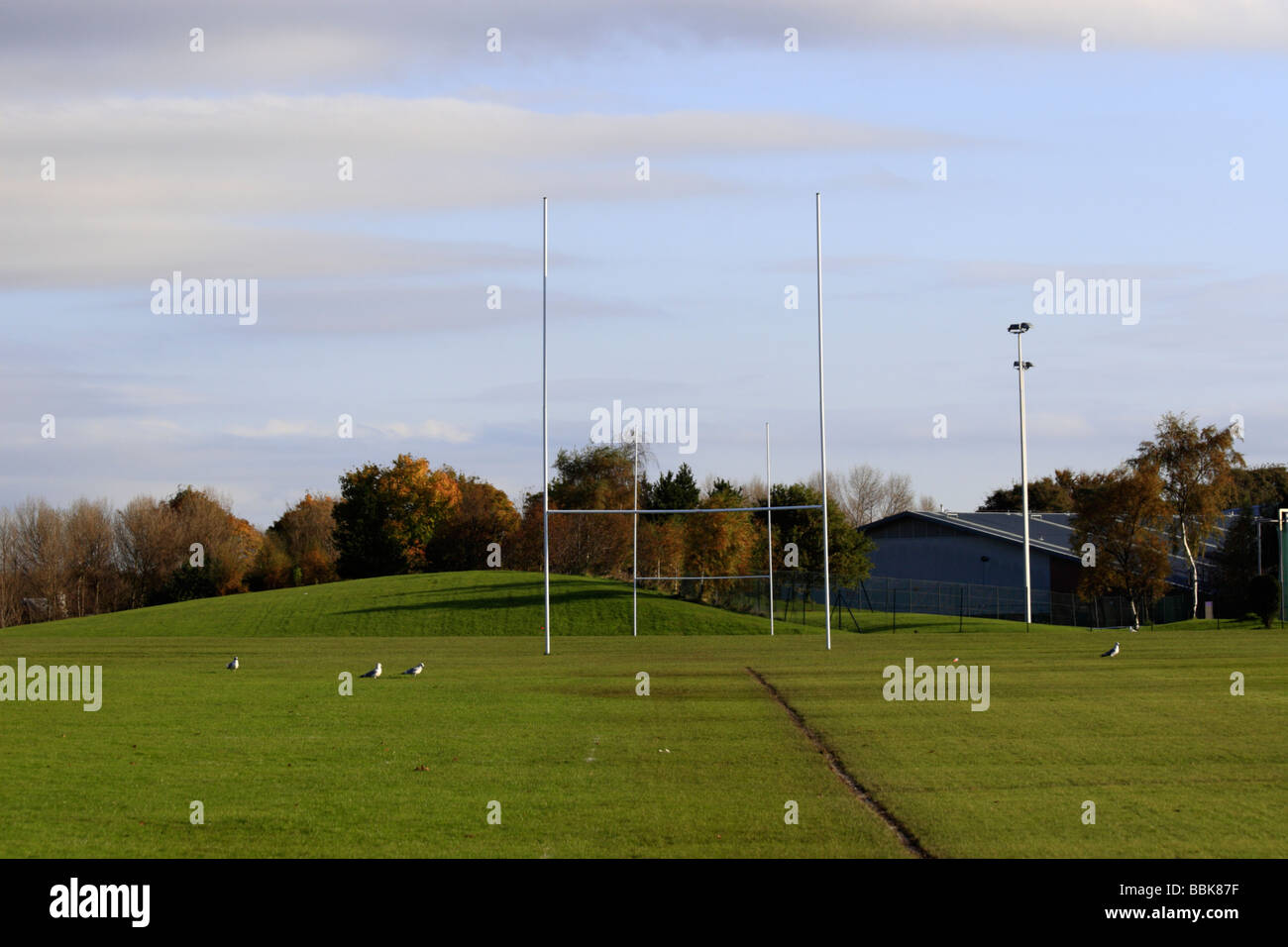 rugby pitch landscape Stock Photo - Alamy
