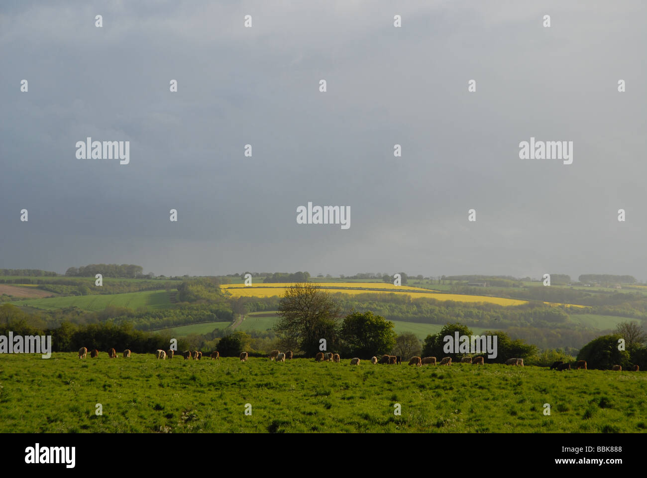 Cotswold landscape hi-res stock photography and images - Alamy