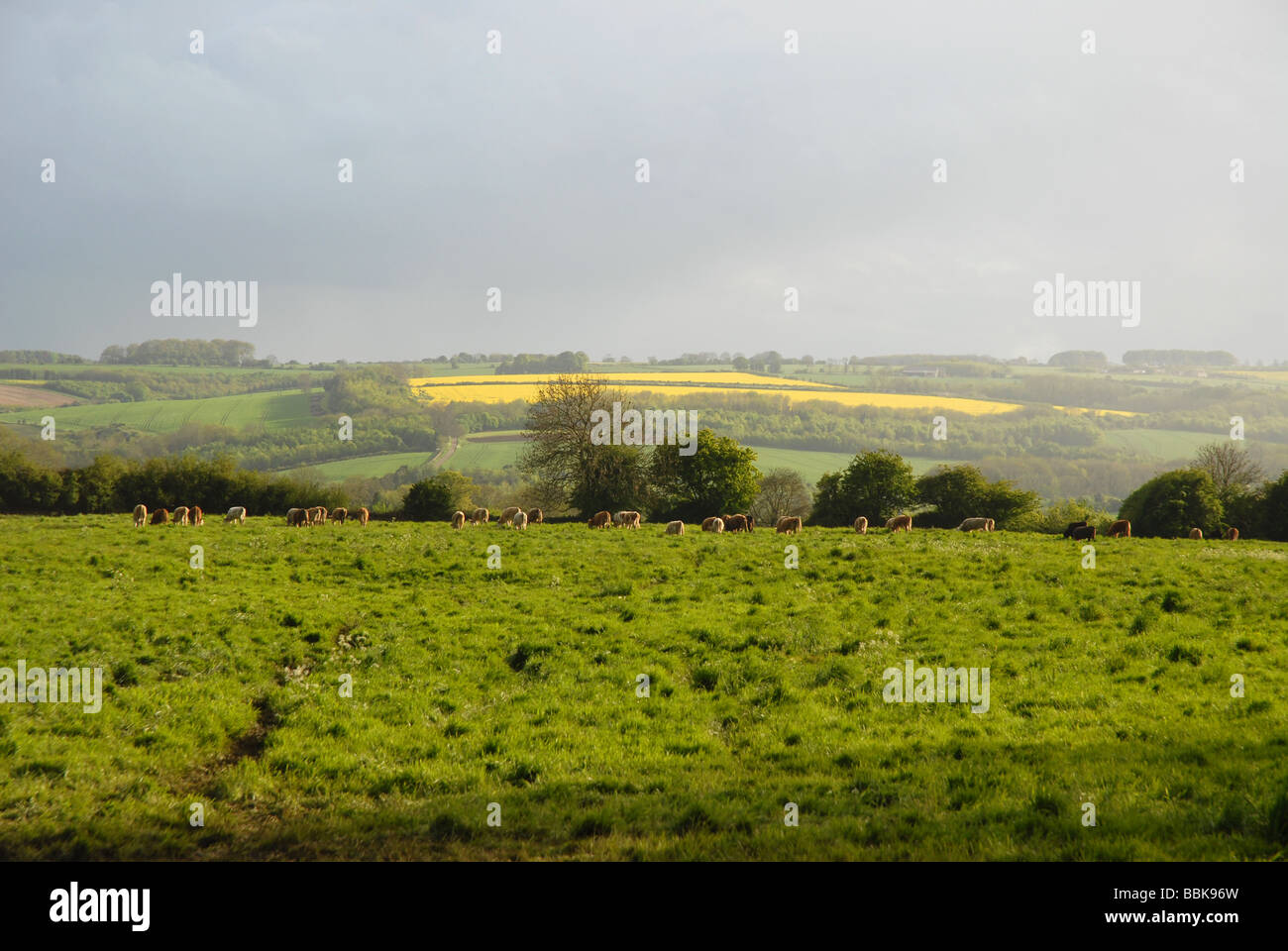 Cotswold landscape hi-res stock photography and images - Alamy