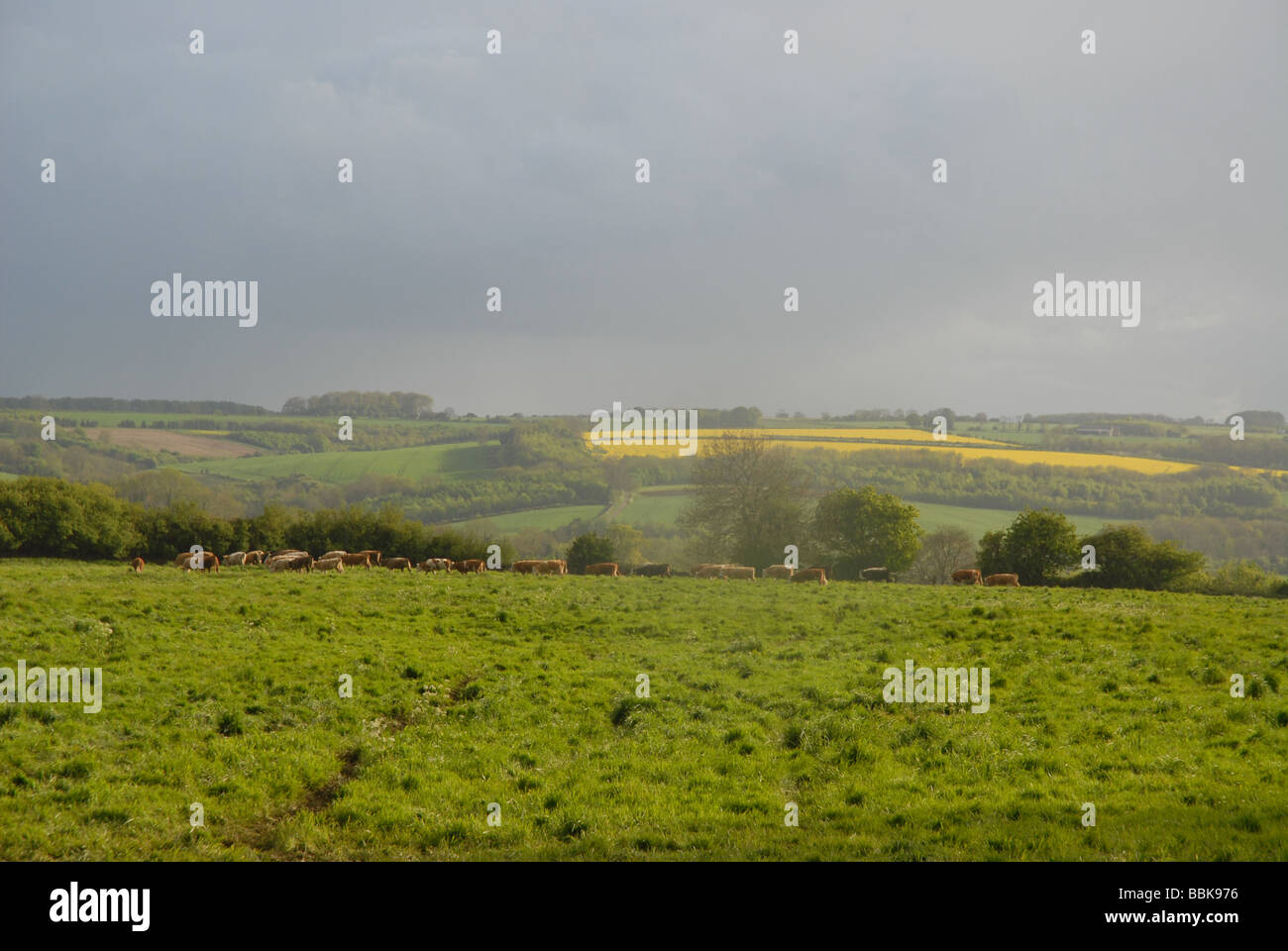 Cotswold landscape hi-res stock photography and images - Alamy