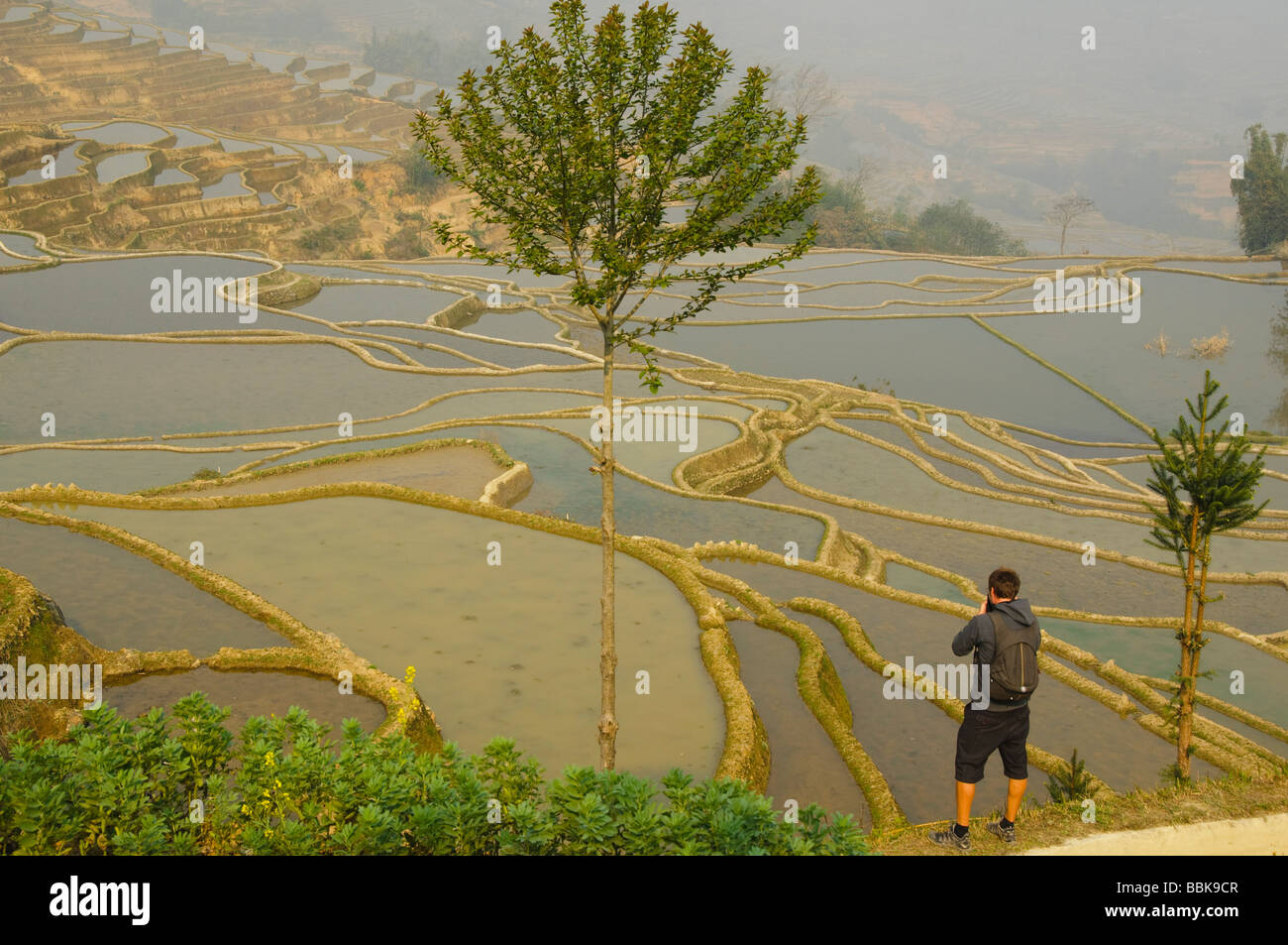 the beautiful rice terraces of Yuanyang in Yunnan China Stock Photo - Alamy