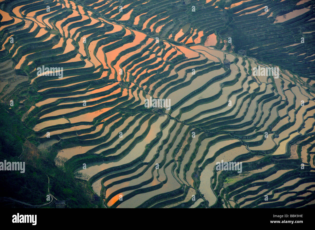 sunset at the magnificent rice terraces of Yuanyang in Yunnan China ...