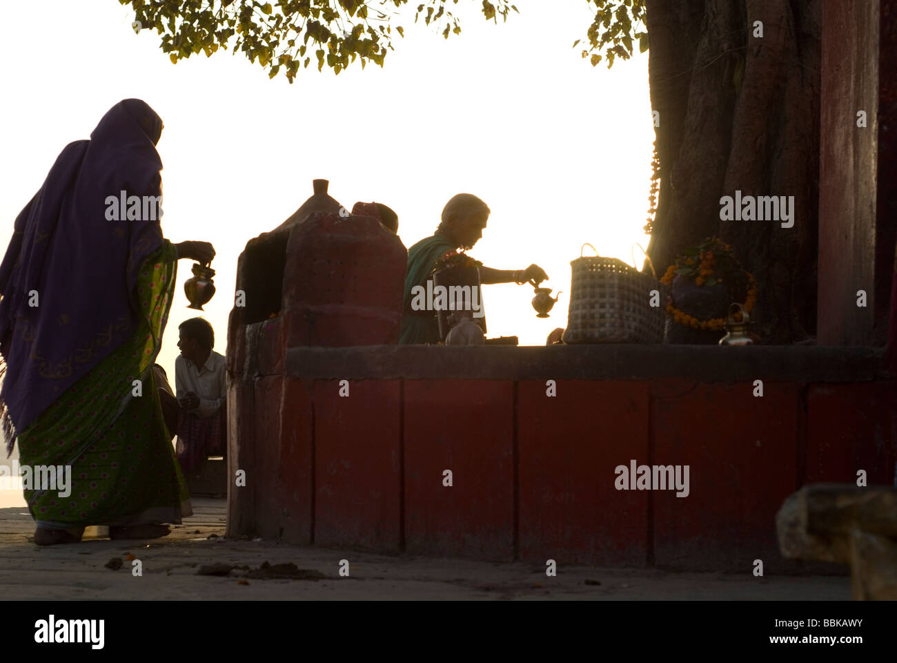 Indian women praying and making offering under a sacred tree, during a ...