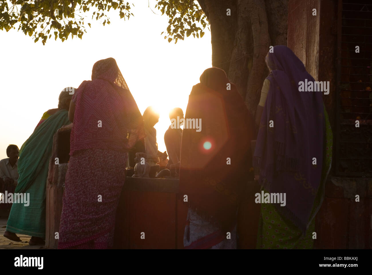 Indian women praying and making offering under a sacred tree, during a ...