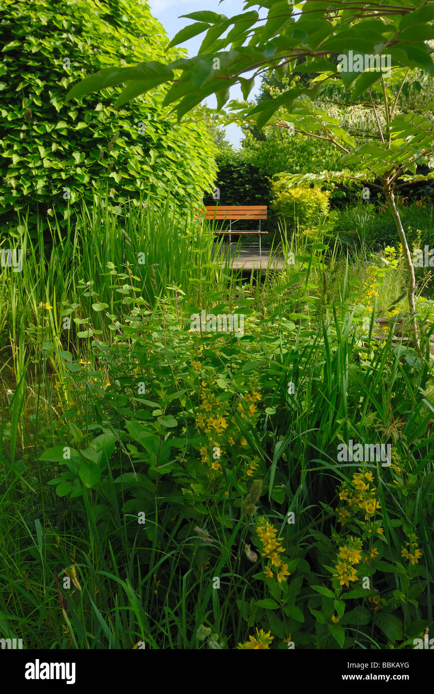 wild green garden Stock Photo - Alamy