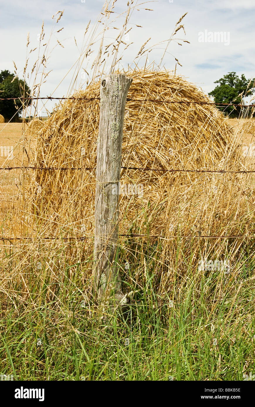 A euro bale behind a barbed wire fence in rural France Stock Photo - Alamy