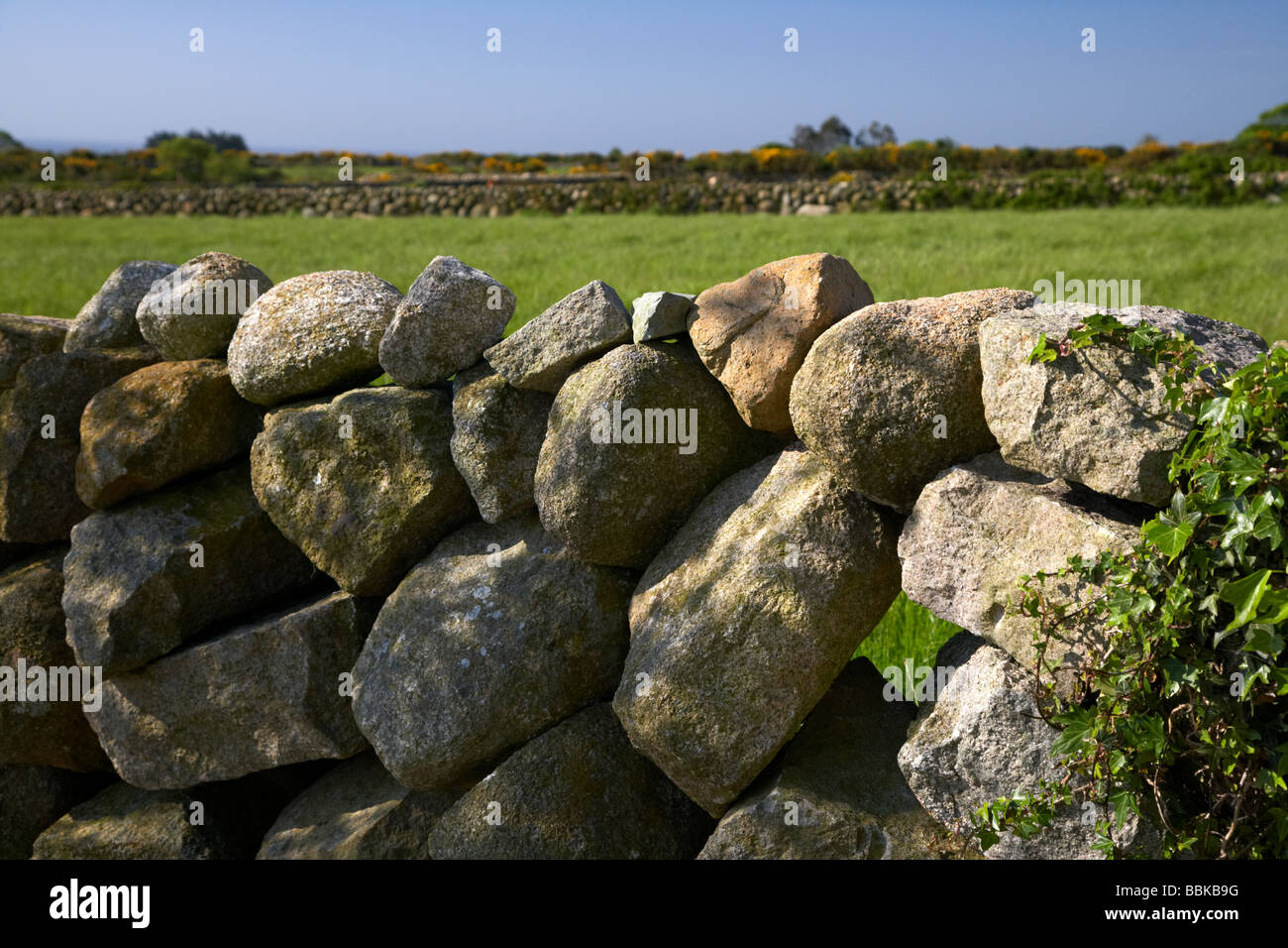 dry stone wall in the mourne mountains county down northern ireland uk ...