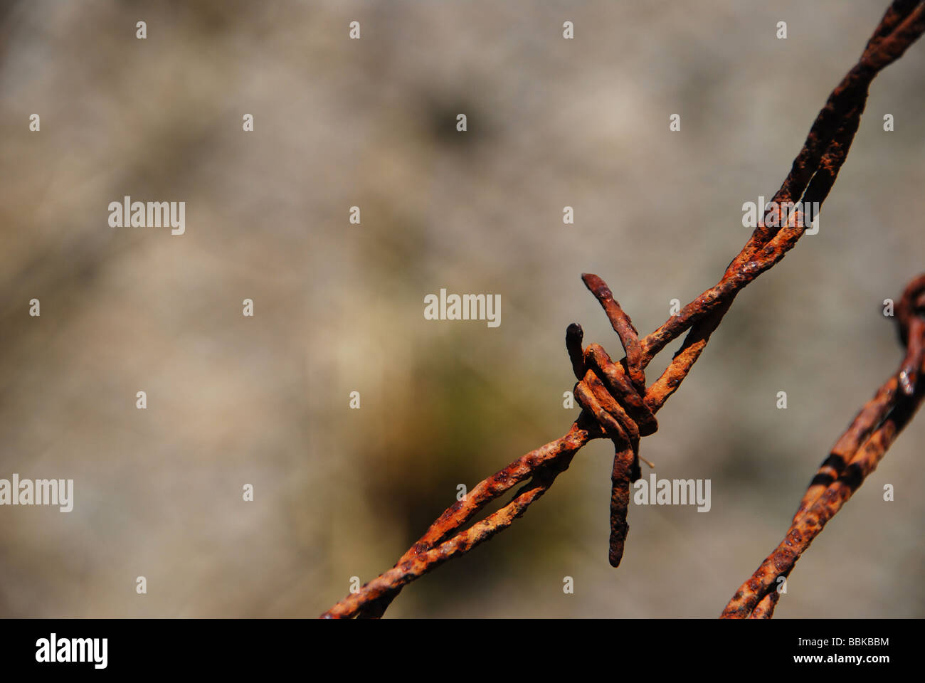 Wire rusty hi-res stock photography and images - Alamy