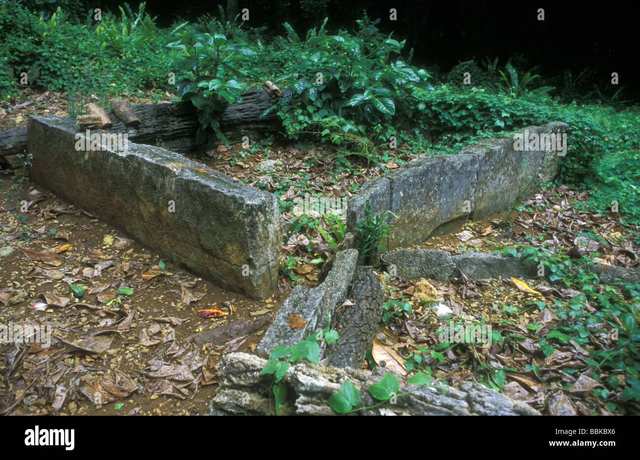 ancient burial site atiu cook islands Stock Photo - Alamy