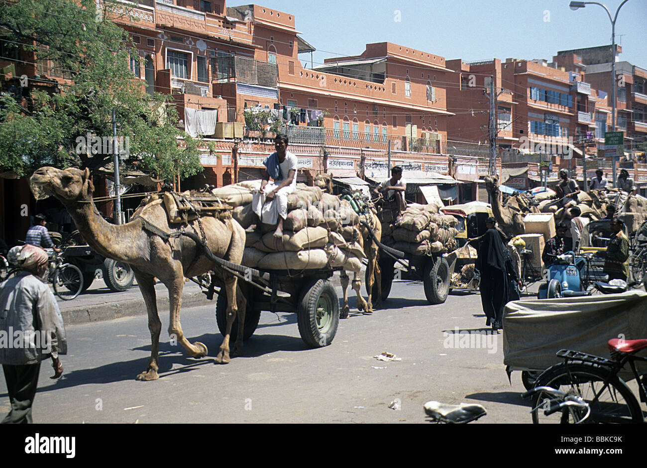 String of camel carts hi-res stock photography and images - Alamy