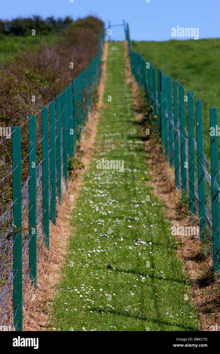 grass footpath leading uphill between two small metal fences well ...