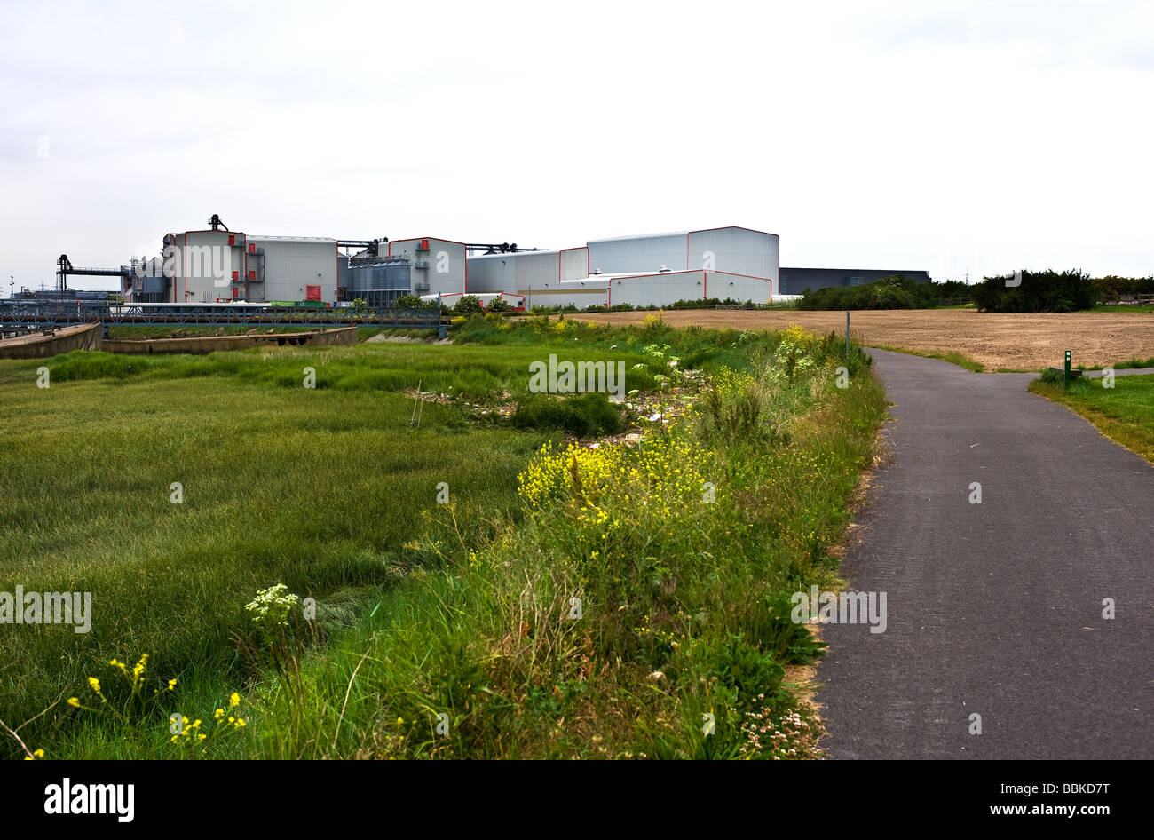 A path leading towards the Tilda Rice factory in Essex. Photo by Gordon ...