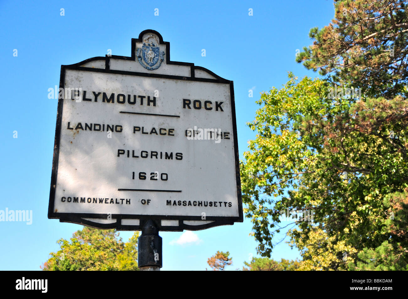 Plymouth rock hi-res stock photography and images - Alamy