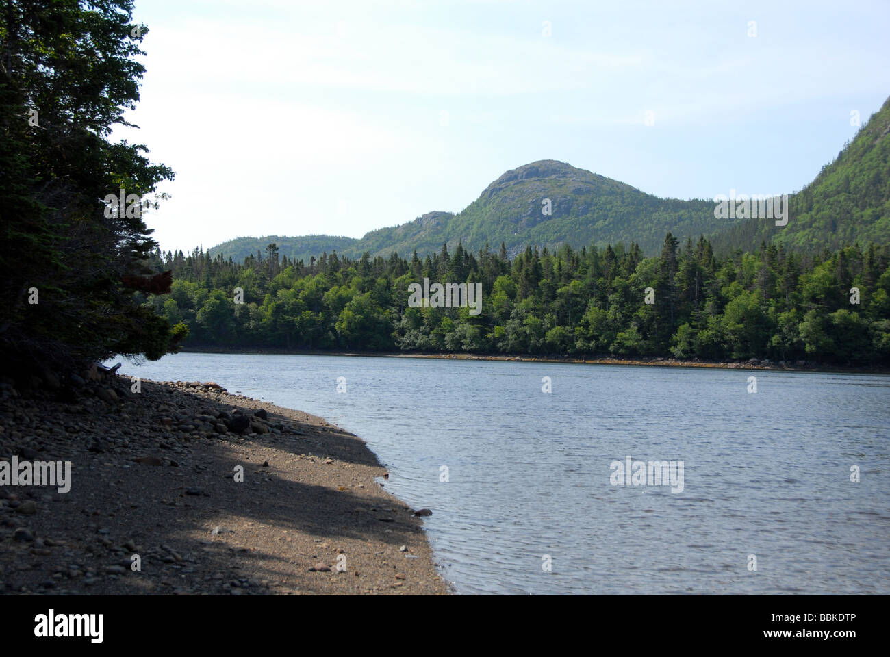 Swift current newfoundland hi-res stock photography and images - Alamy