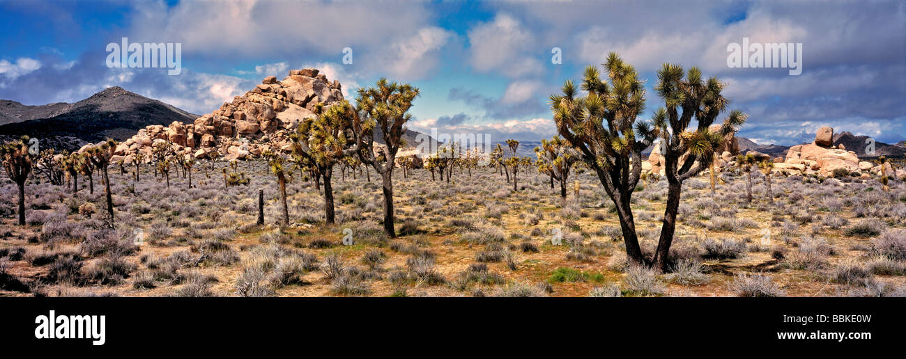 40 feet tall hi-res stock photography and images - Alamy