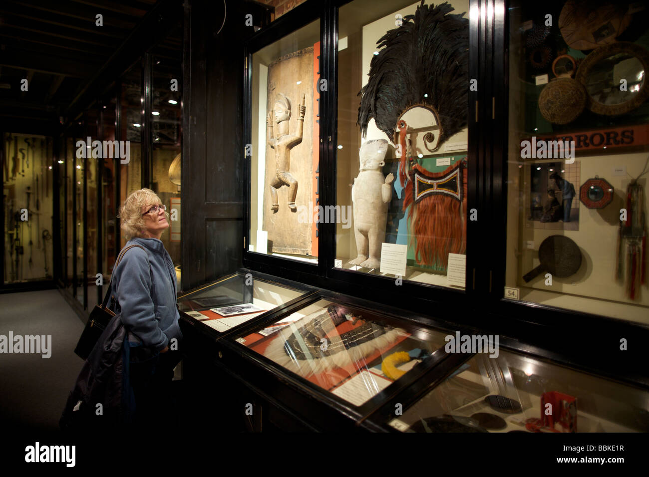 Oxford natural history museum interior hi-res stock photography and ...