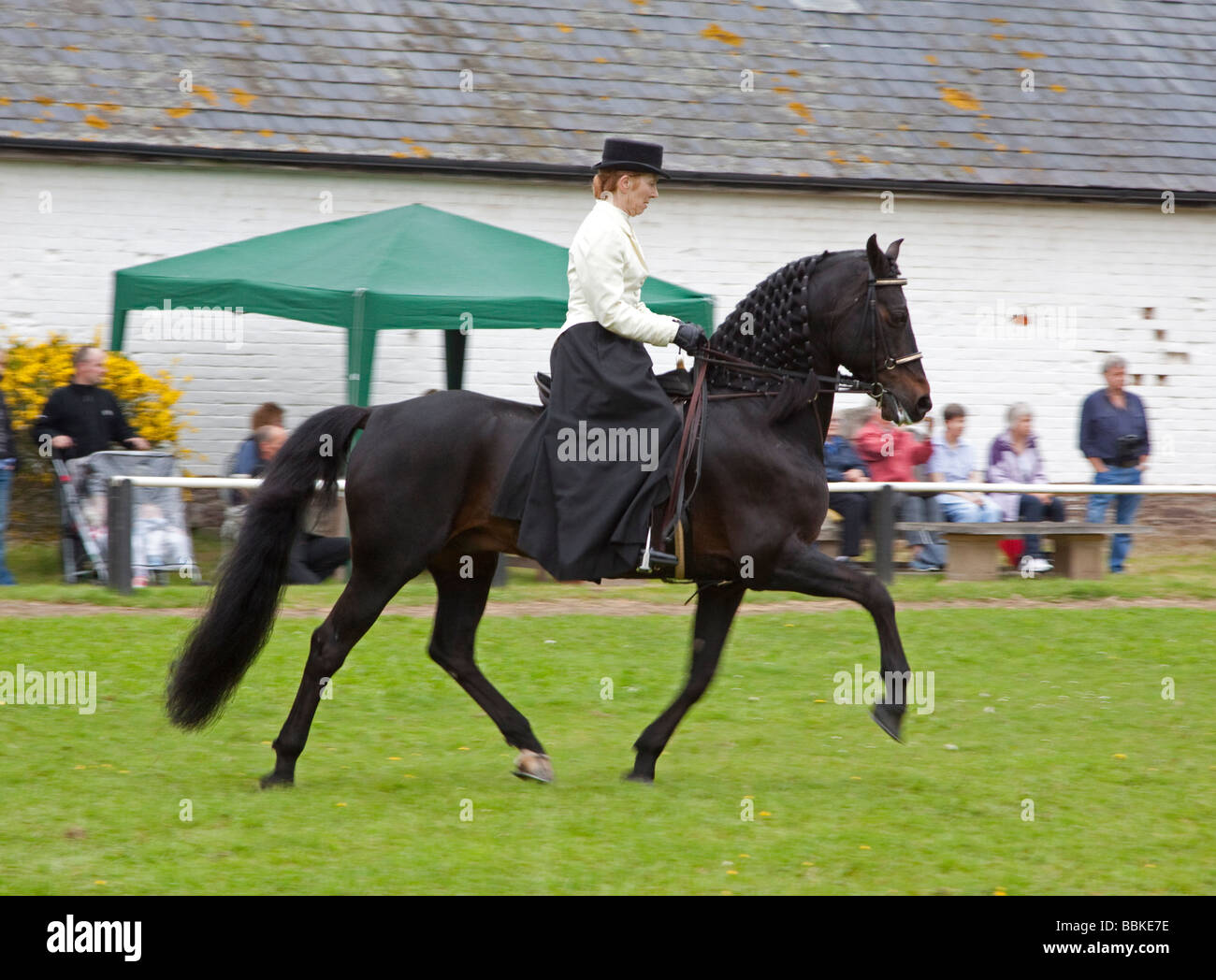 Ponies being ridden hi-res stock photography and images - Alamy