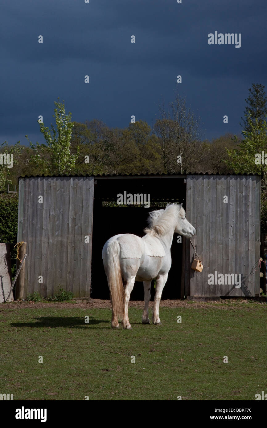 Pony shelter hi-res stock photography and images - Alamy