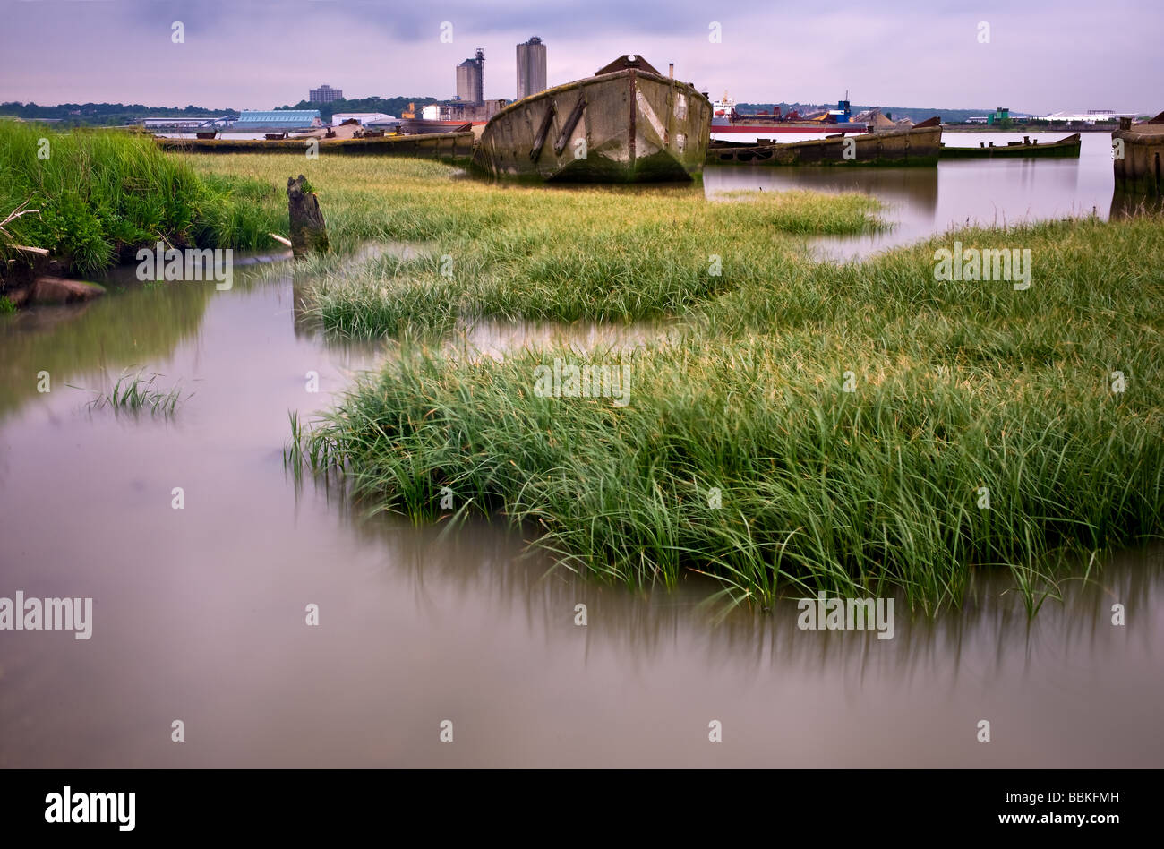 High tide on the Essex foreshore of the Thames Stock Photo - Alamy