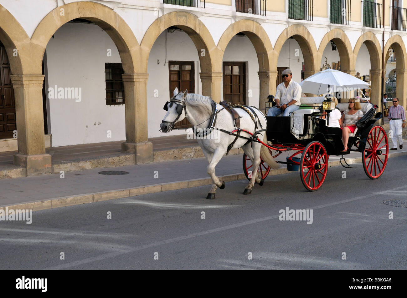 Horse drawn tourist carriage in Ronda Andalucia Spain Stock Photo - Alamy