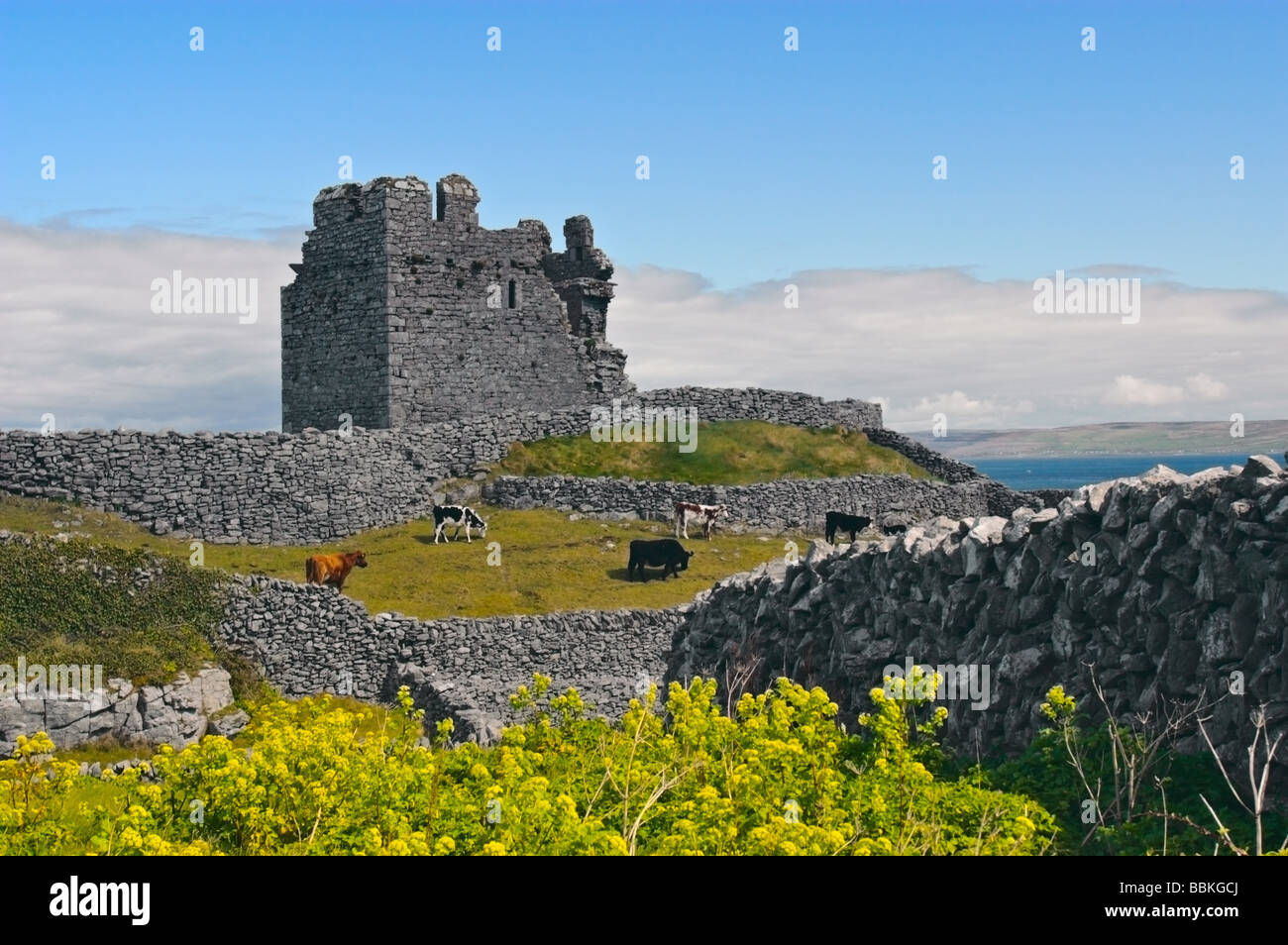 O'Brien's Castle, a 14th century castle on Inisheer, the smallest of ...