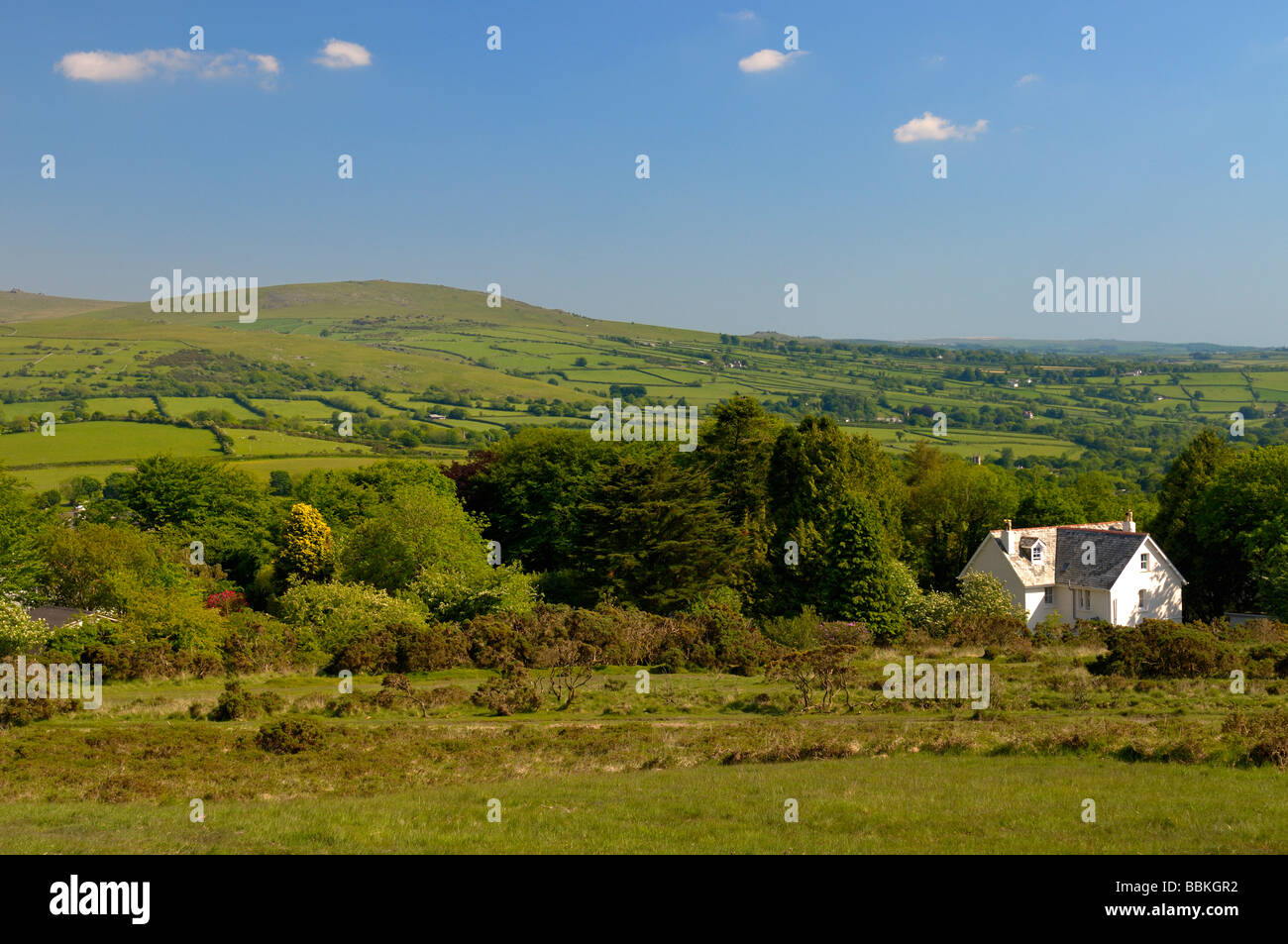 Dartmoor farm hi-res stock photography and images - Alamy