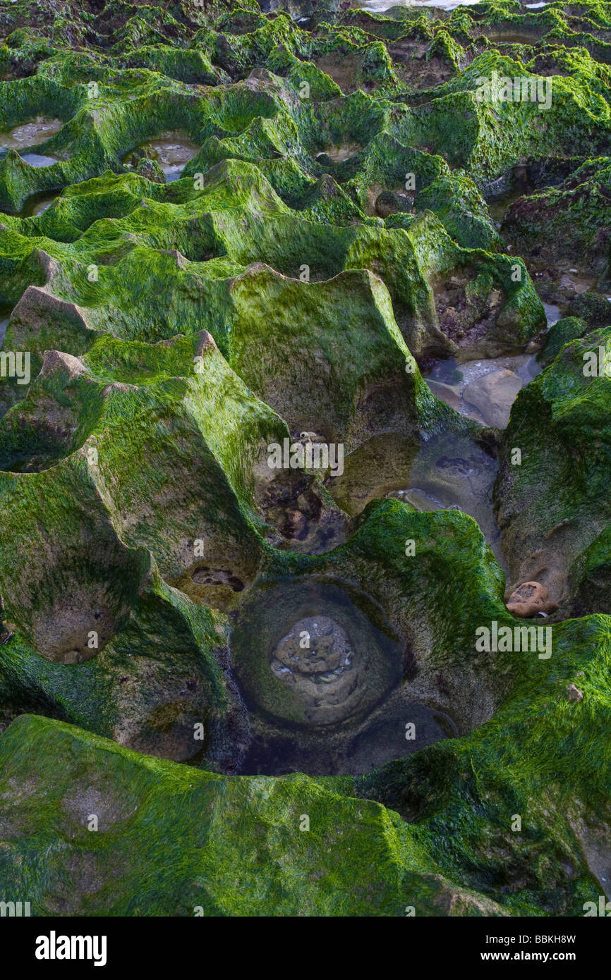 Jagged line hi-res stock photography and images - Alamy