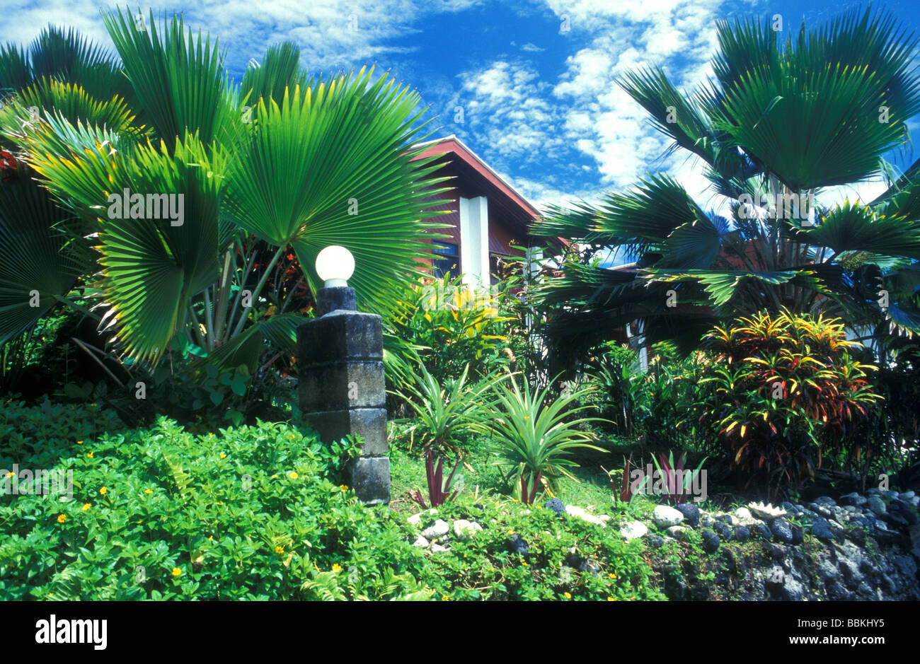 Rotuma hi-res stock photography and images - Alamy