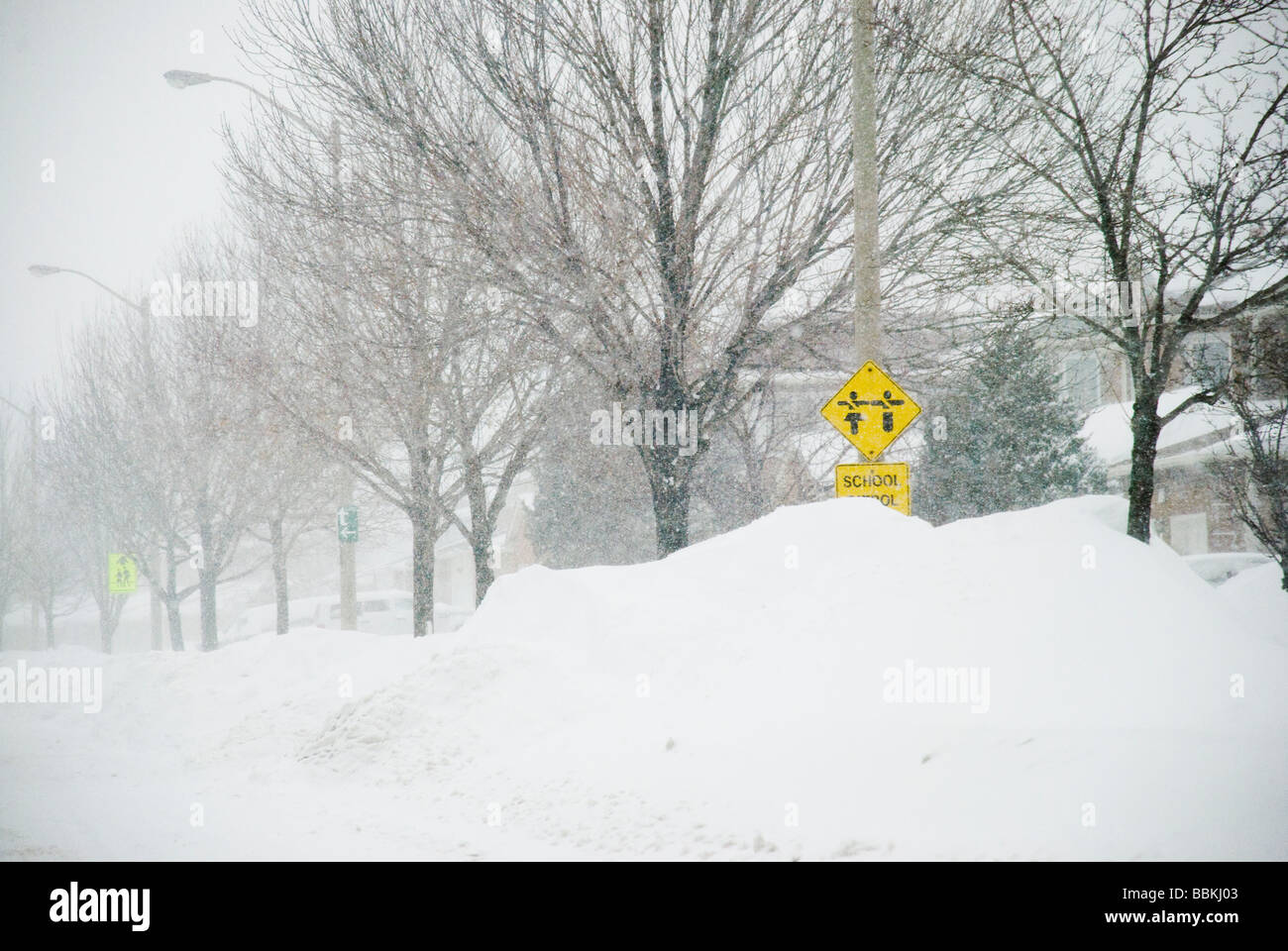 Snow storm in a quiet street in Toronto Stock Photo - Alamy