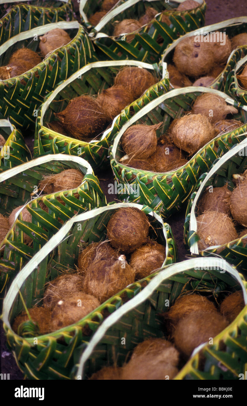 coconuts in maketi fou apia samoa Stock Photo - Alamy