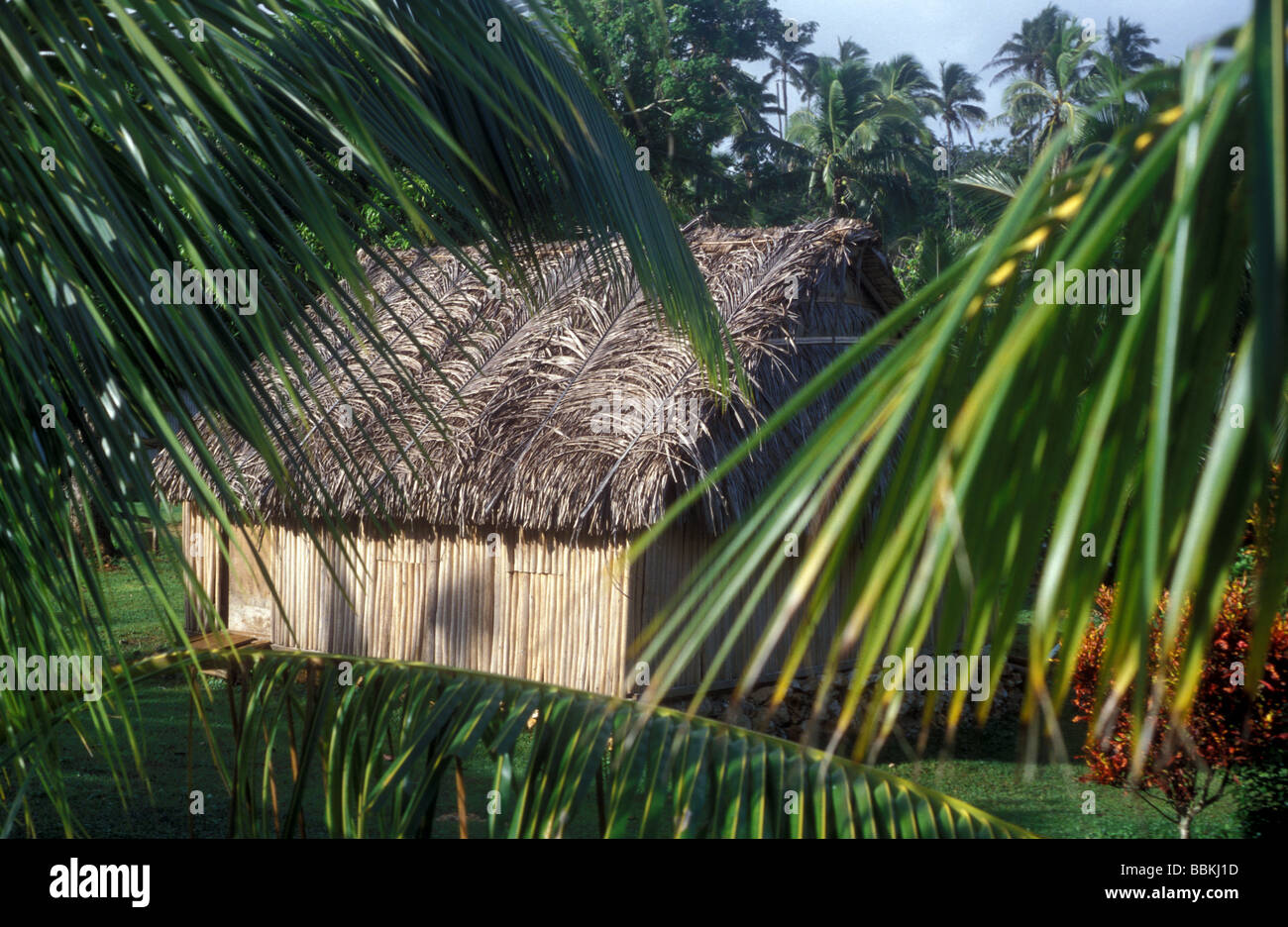 Mangaia Stock Photos & Mangaia Stock Images - Alamy