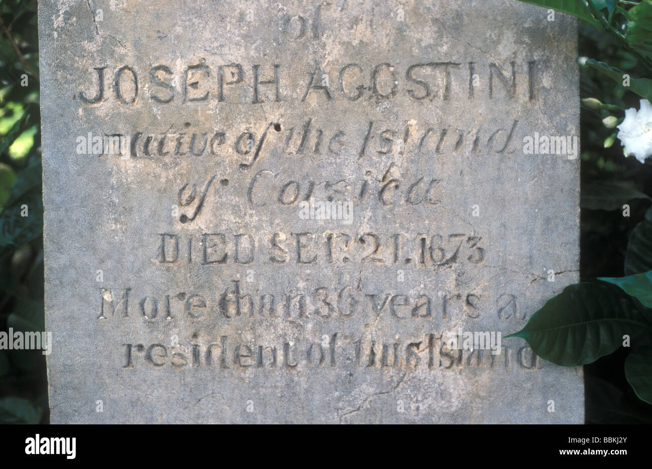 ealry grave mangaia cook islands Stock Photo - Alamy