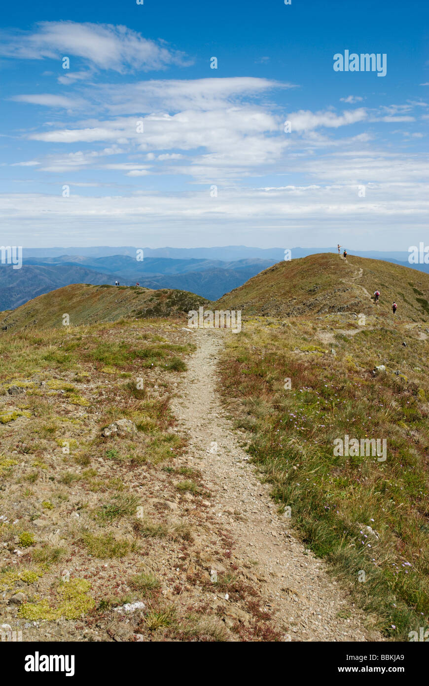 Hiking Mt Feathertop Stock Photo - Alamy