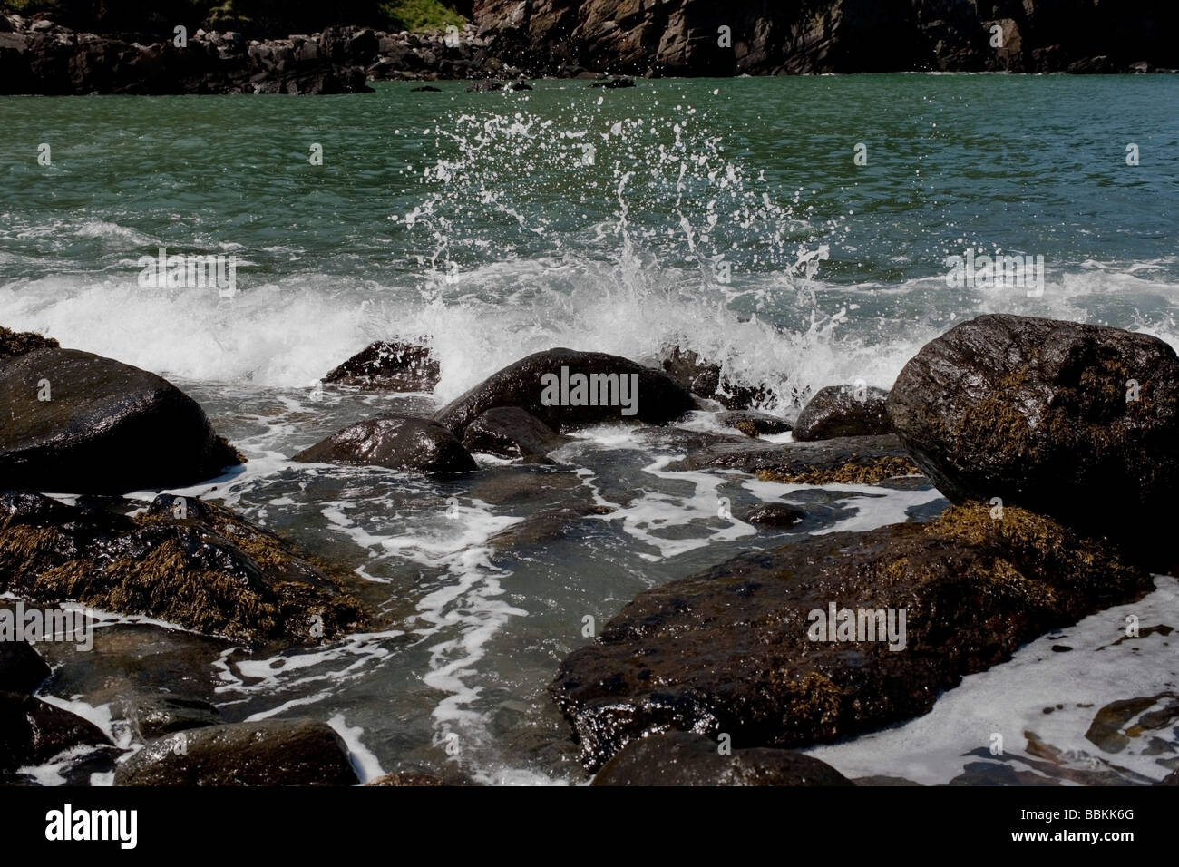 the sea shore and rocks in a bay Stock Photo - Alamy