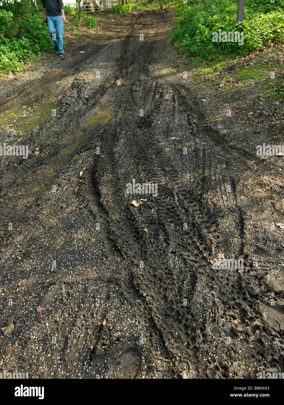 Muddy track hi-res stock photography and images - Alamy