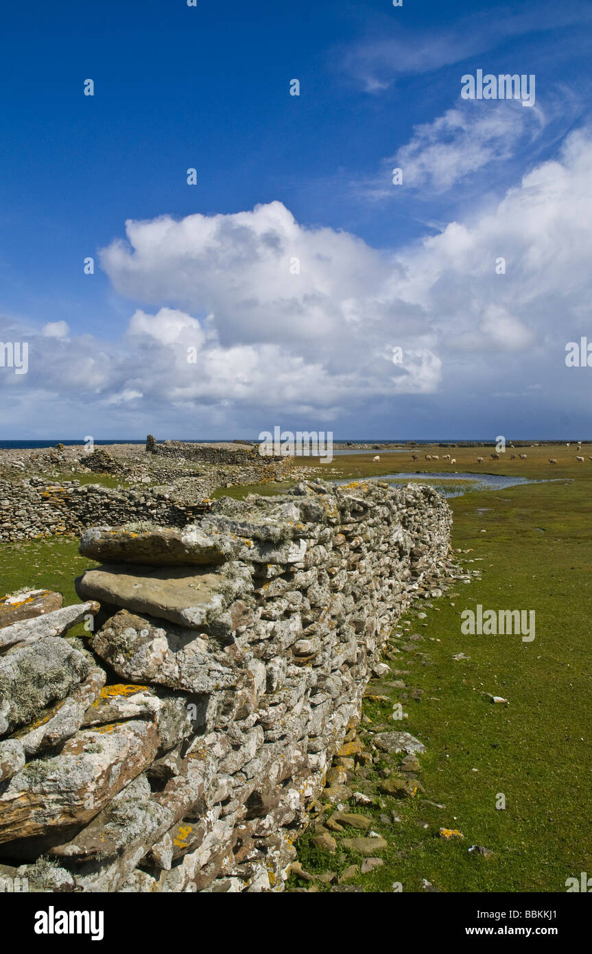 dh NORTH RONALDSAY ORKNEY Stone wall sheep enclosure pens stonewall ...