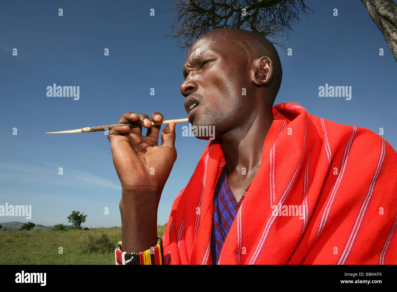 Maasai men in traditional dress hi-res stock photography and images - Alamy