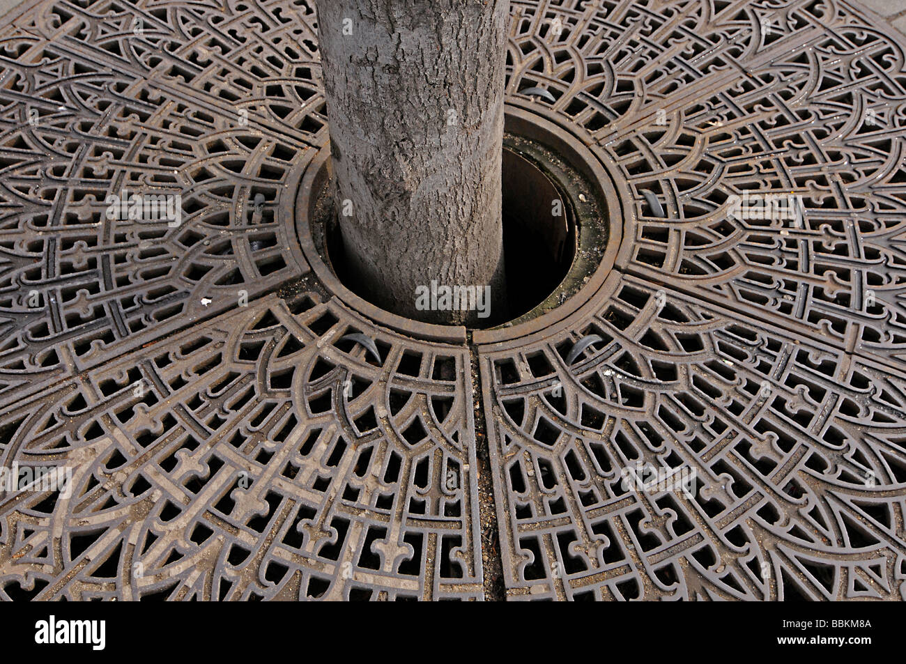 Metal ground around a tree, Prague, Czech Republic, Europe Stock Photo ...