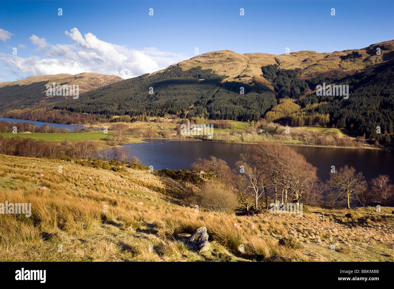 Loch doine hi-res stock photography and images - Alamy