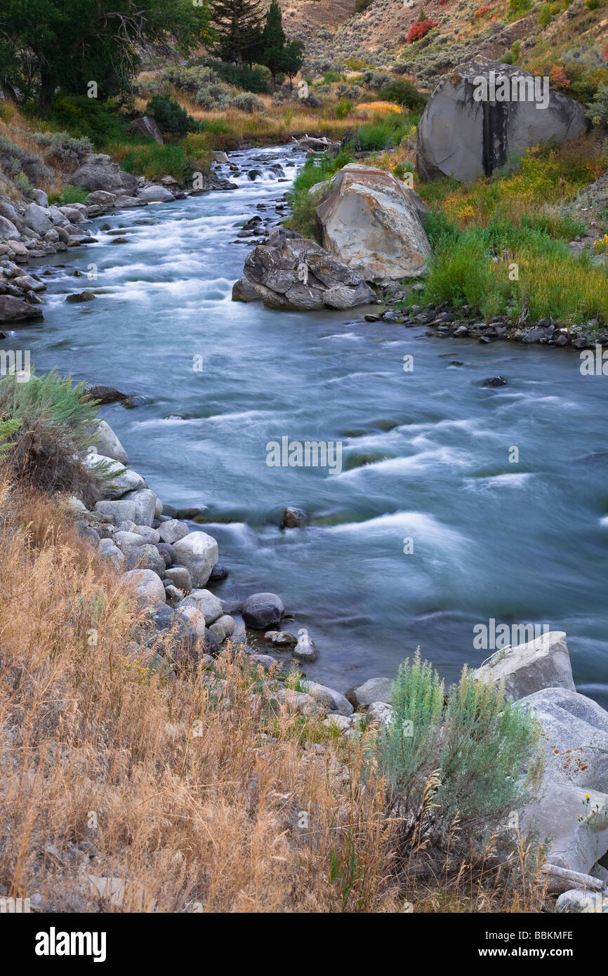 Babbling brook flowers hi-res stock photography and images - Alamy