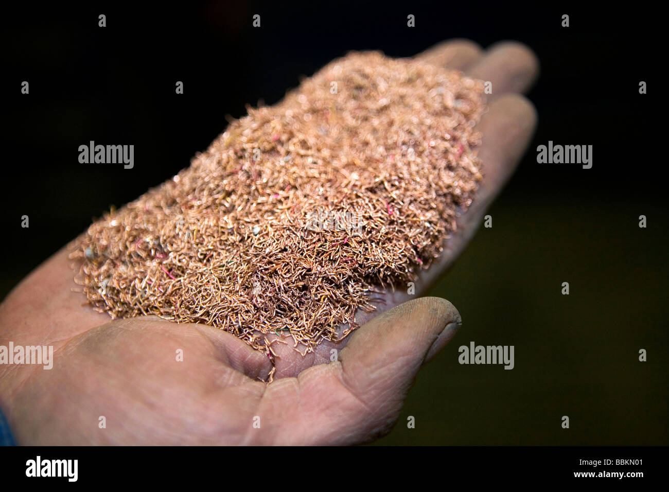 Recycling of electricity cables The wires are being shredded and then ...