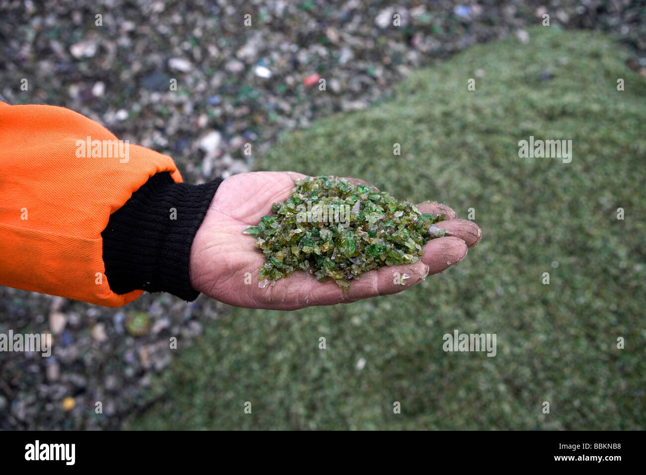Recycling of toxic waste All municipalities in The Netherlands are ...