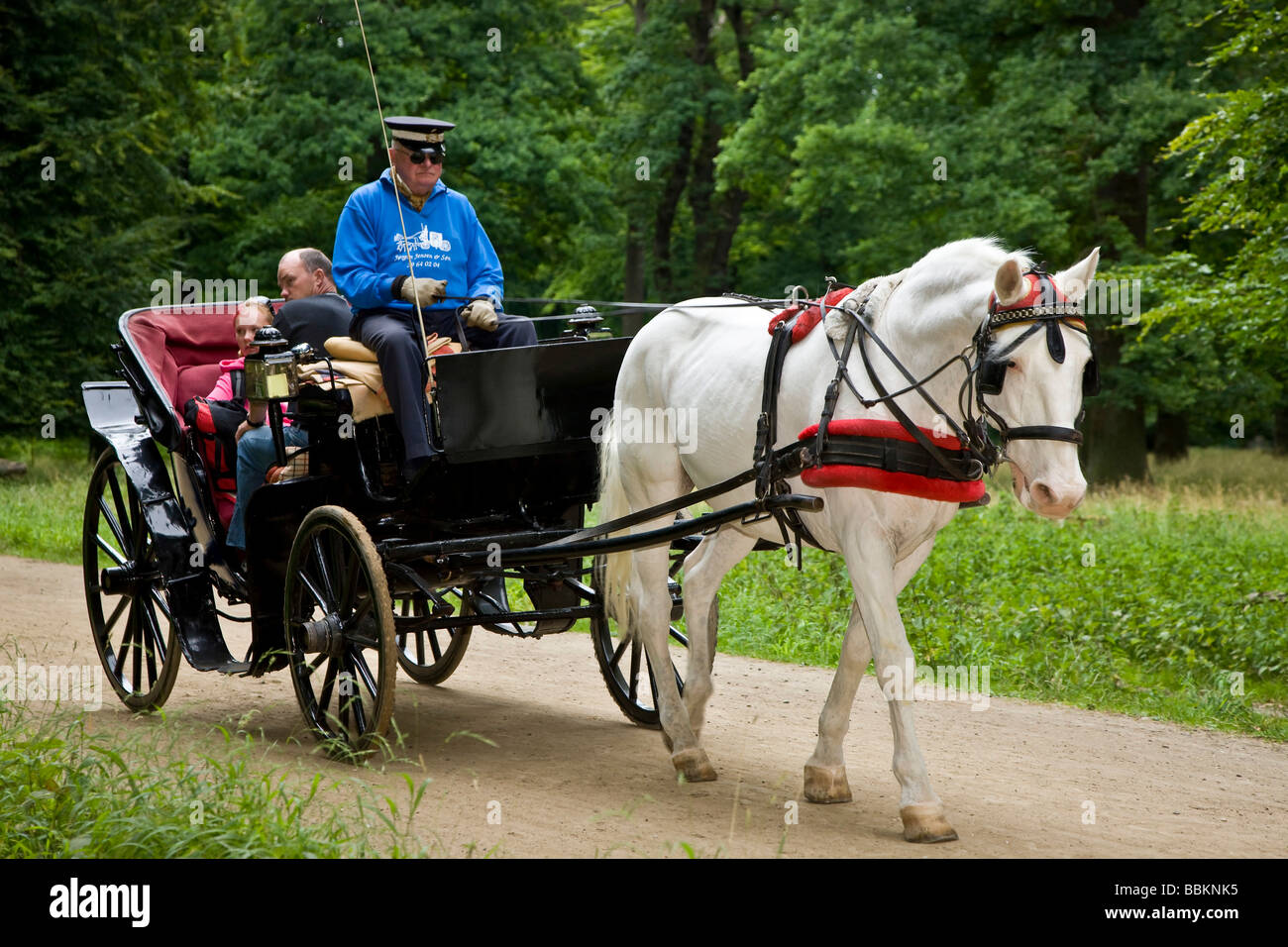Hackney Carriage High Resolution Stock Photography and Images - Alamy