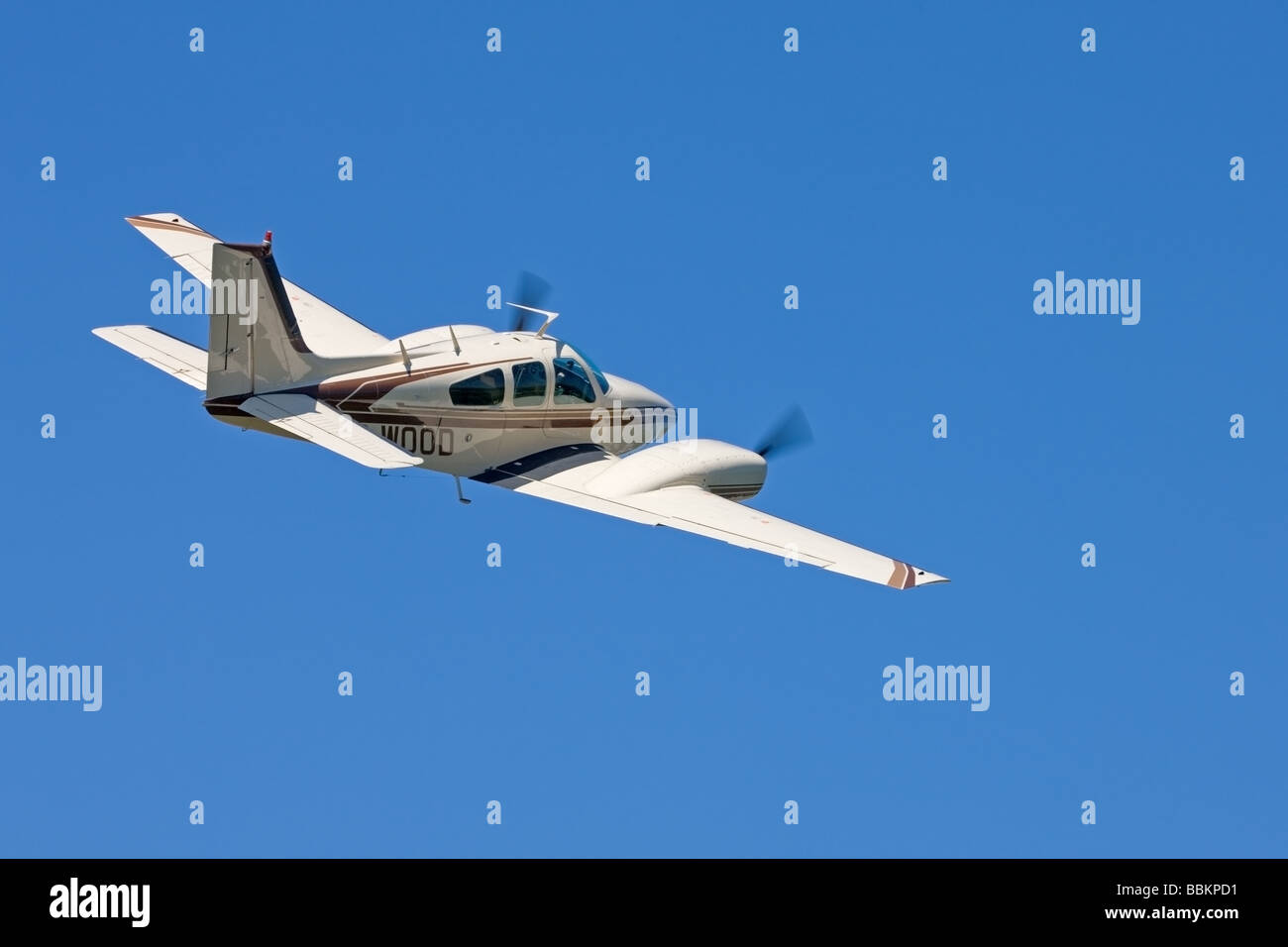 Beech baron hi-res stock photography and images - Alamy