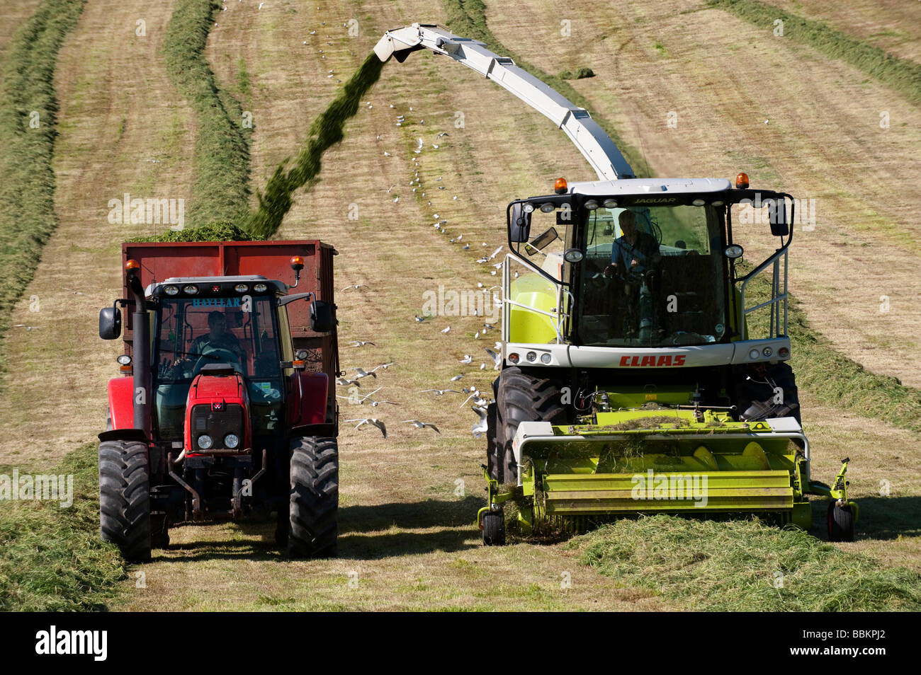Claas Chopper High Resolution Stock Photography and Images - Alamy