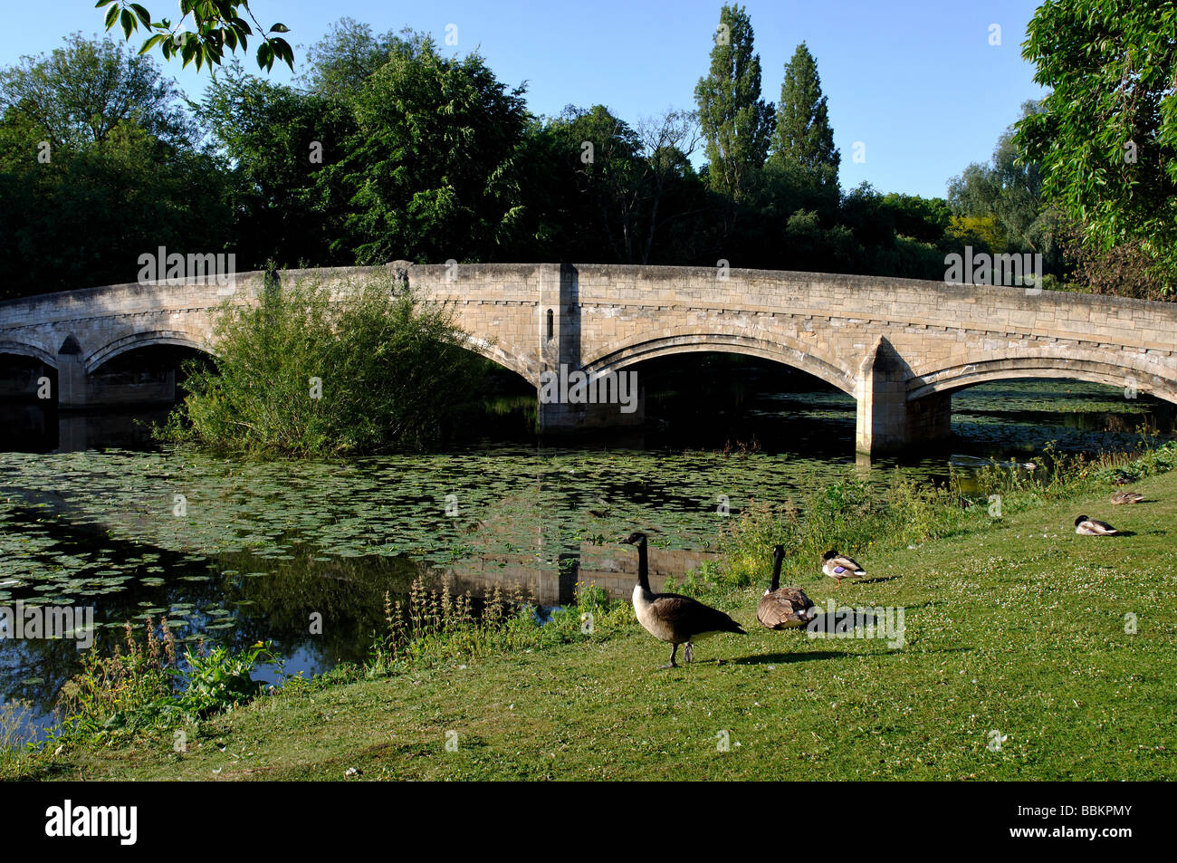Bridge and River Soar, Abbey Park, Leicester, Leicestershire, England ...