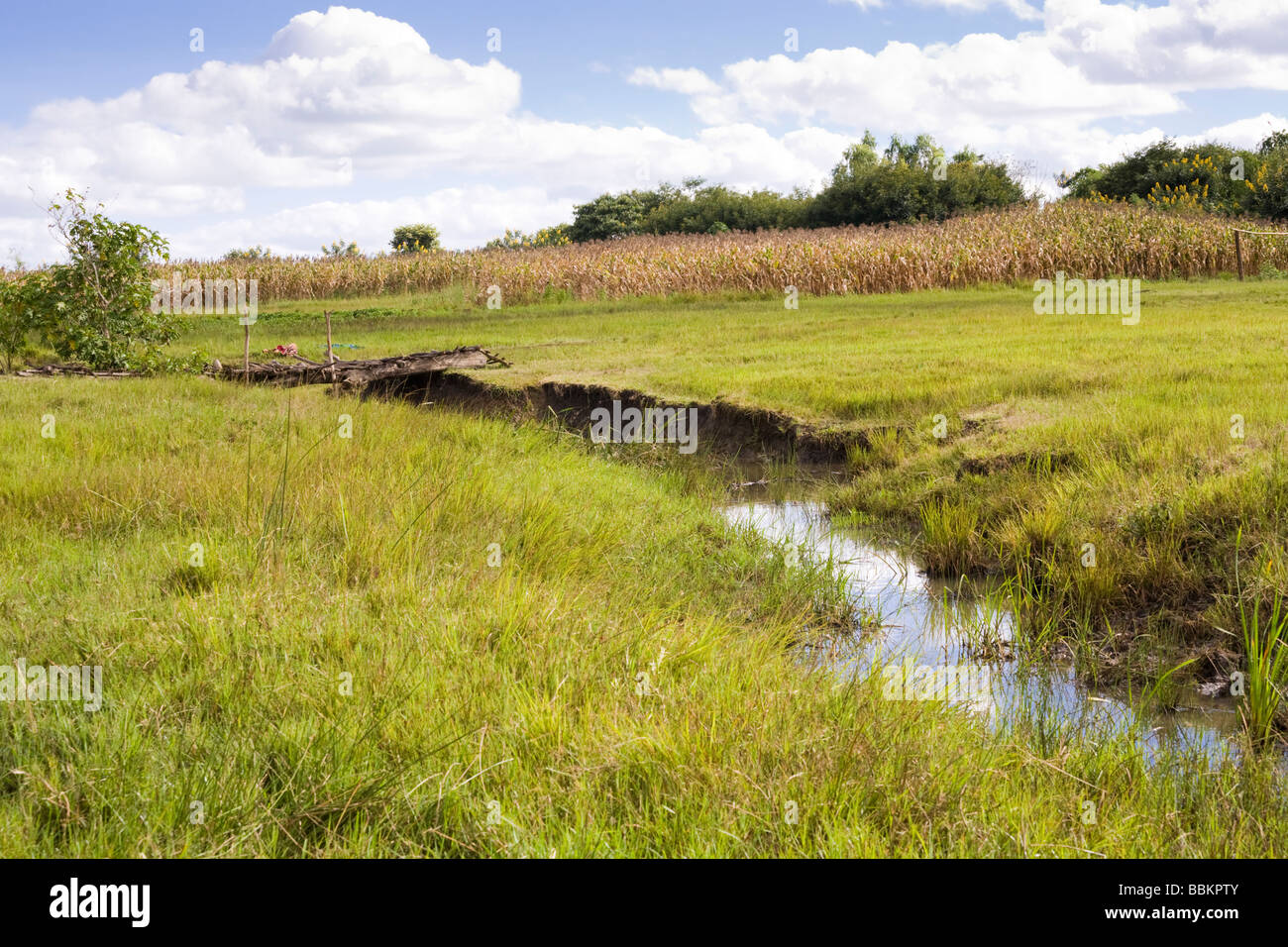 Malawi village water hi-res stock photography and images - Alamy
