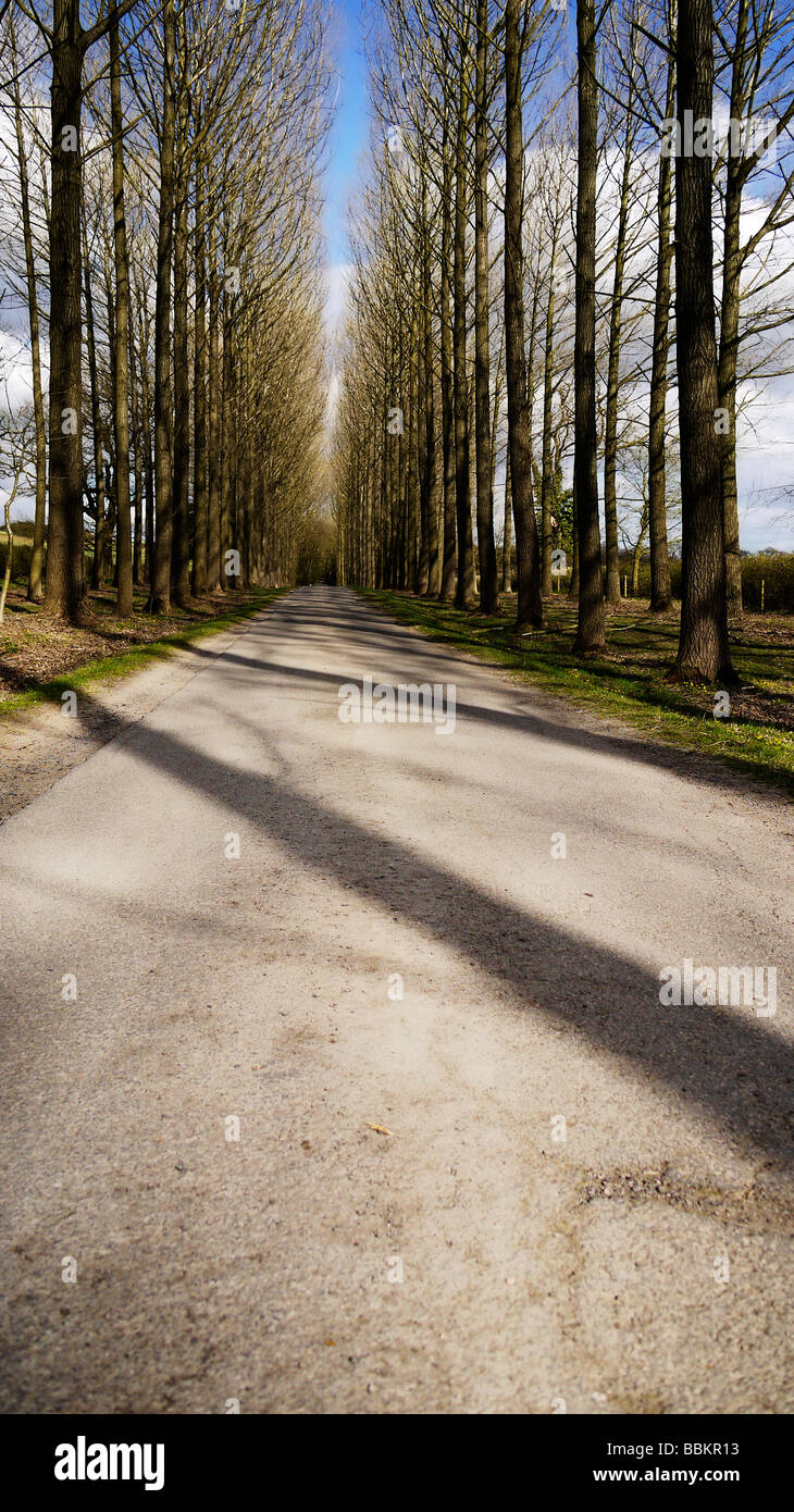 country road umberslade warwickshire fields farm farmland Stock Photo ...