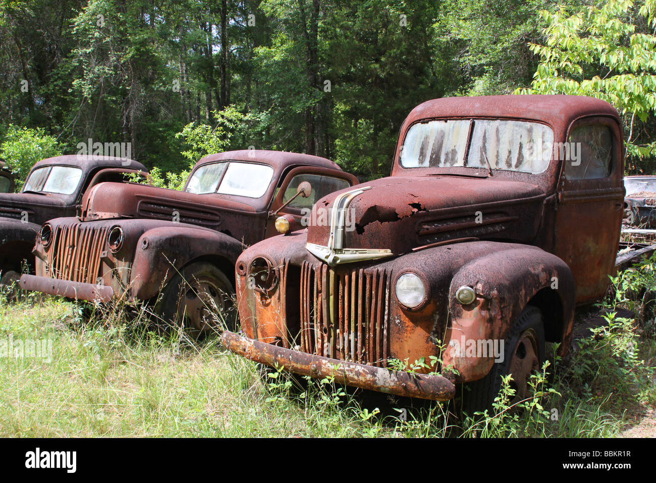 Old rusted automobiles Southern USA Stock Photo - Alamy